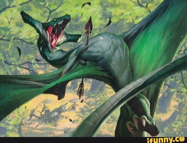 Wyvern memes. Best Collection of funny Wyvern pictures on iFunny