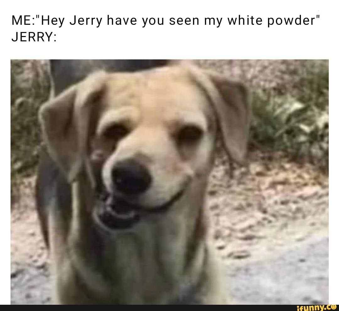 Jerry have you seen my white powder" JERRY: - iFunny