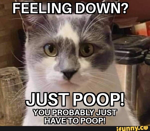FEELING DOWN? JUST POOP! YOU PROBABLY JUST HAVE TO POOP! - iFunny