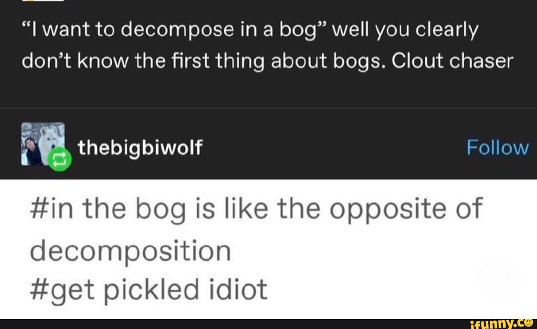 Clout memes. Best Collection of funny Clout pictures on iFunny