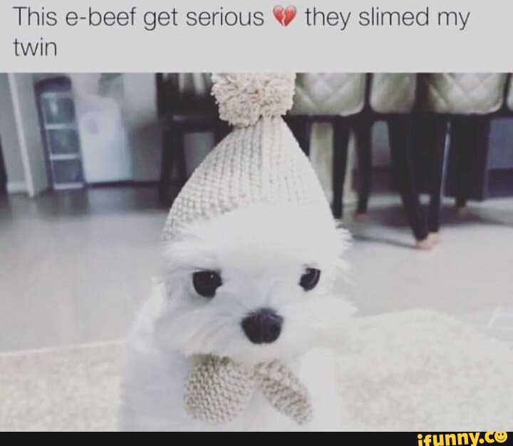 This e-beef get serious they slimed my twin - iFunny