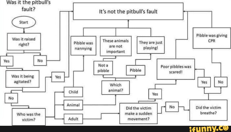 Pibble memes. Best Collection of funny Pibble pictures on iFunny