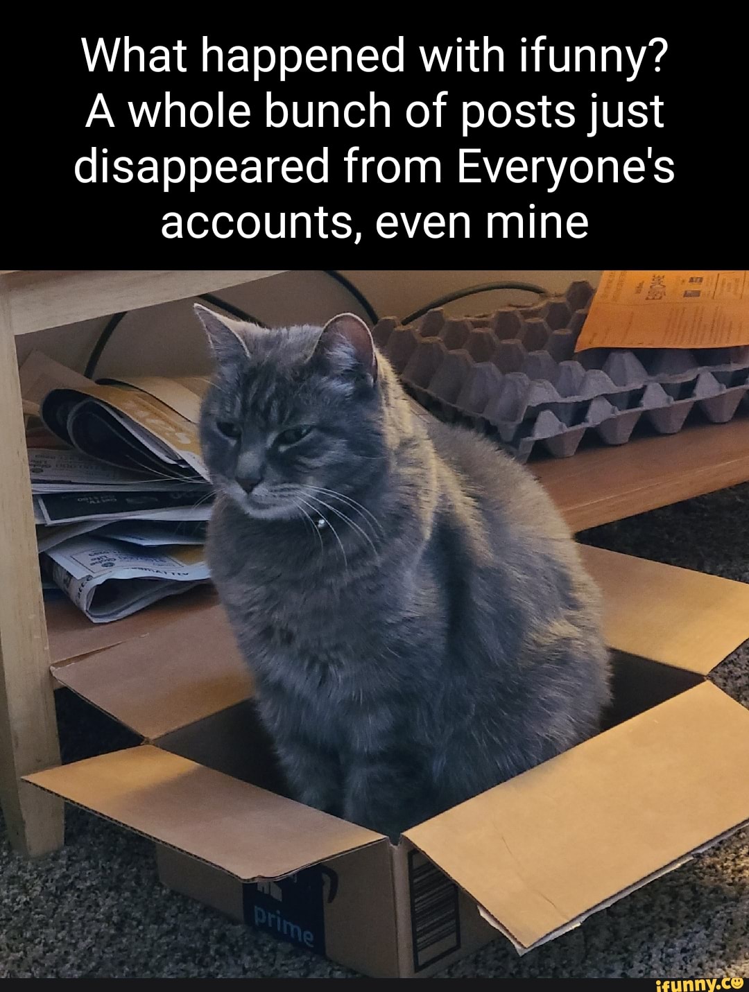 What happened with ifunny? A whole bunch of posts just disappeared from ...