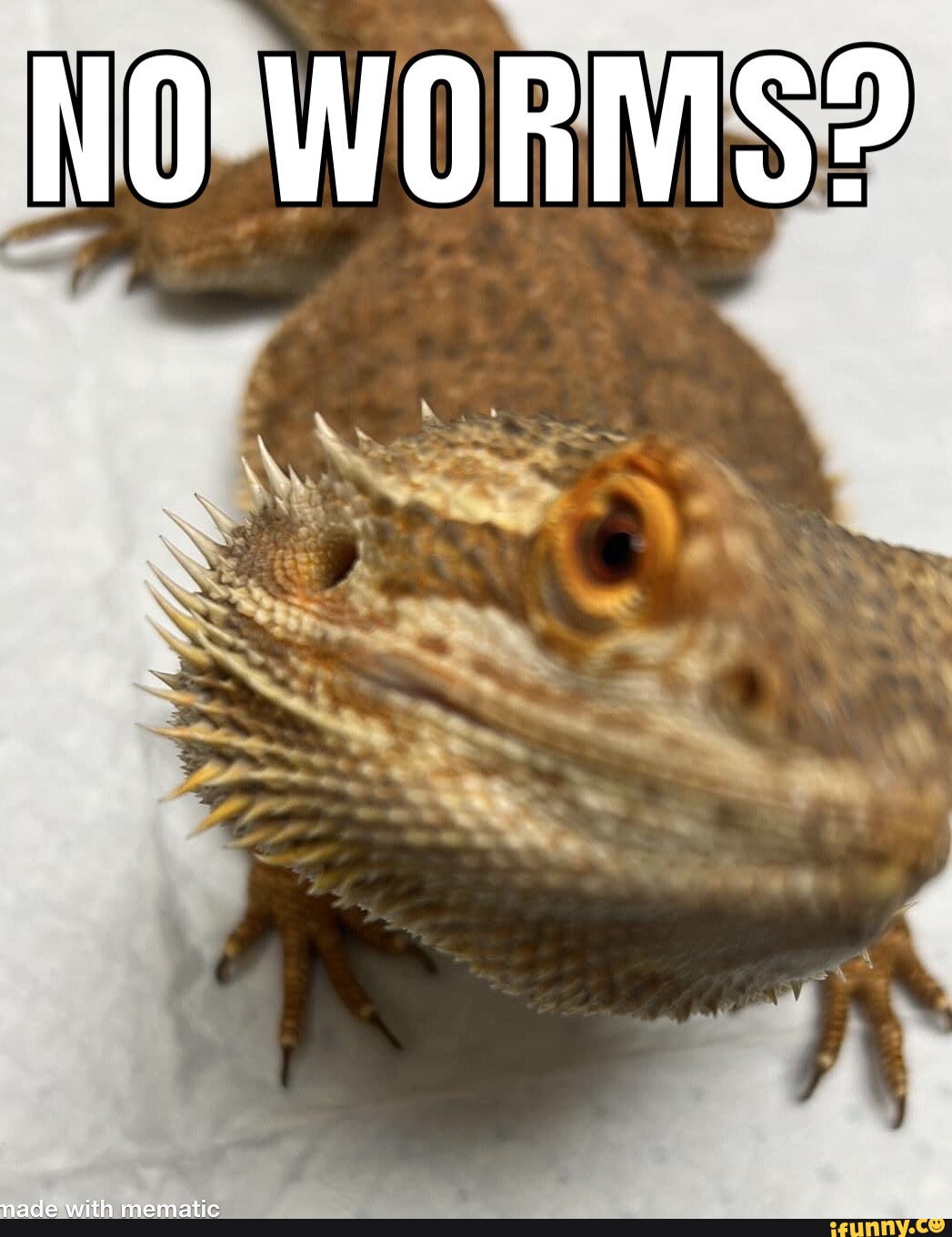 NO WORMS? nade with mematic - iFunny