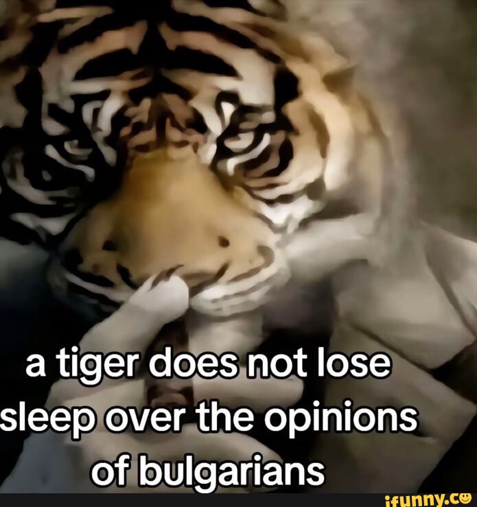 Picture memes 1YEvDAF98 by immobilityQUEEN: 13 comments - iFunny