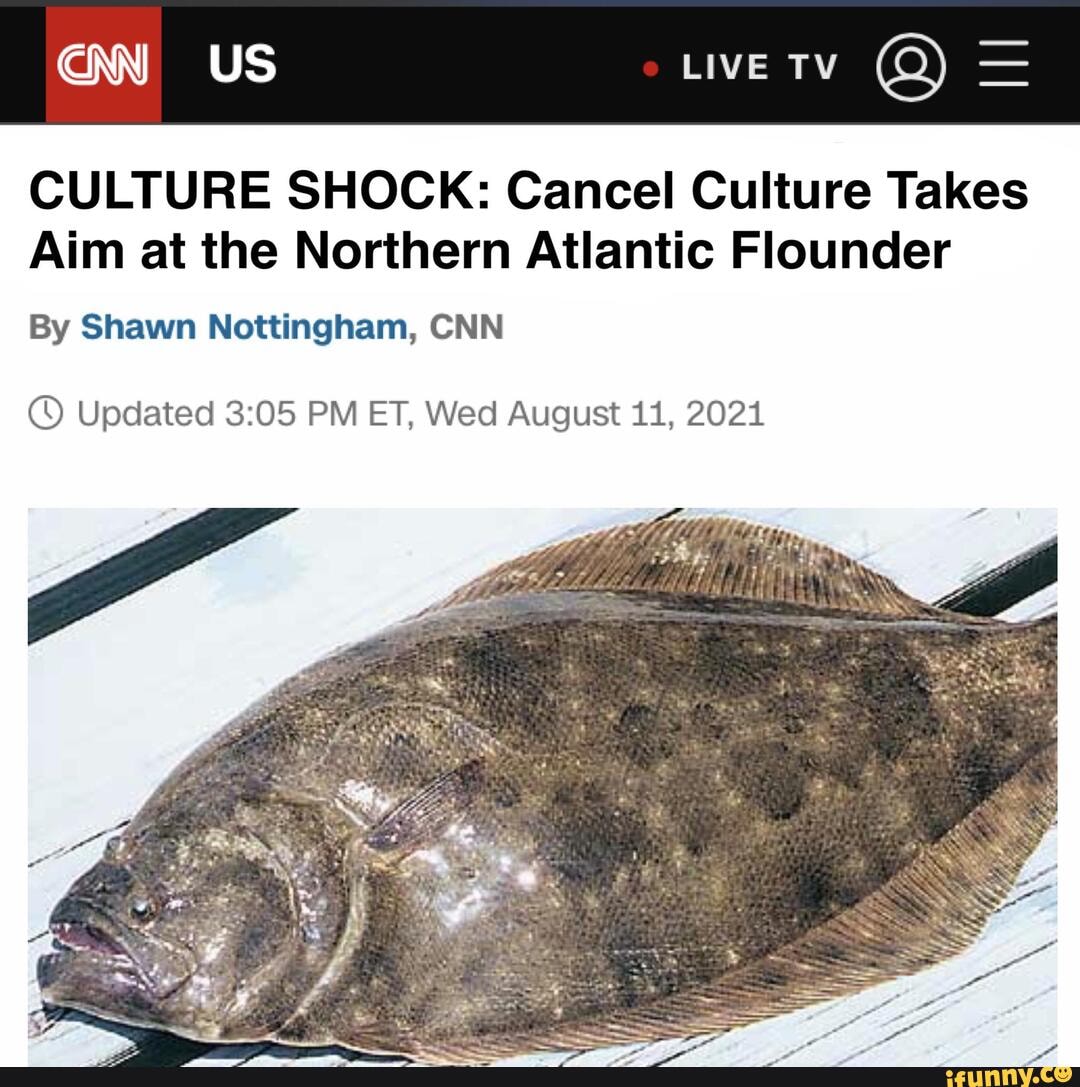 Flounder memes. Best Collection of funny Flounder pictures on iFunny