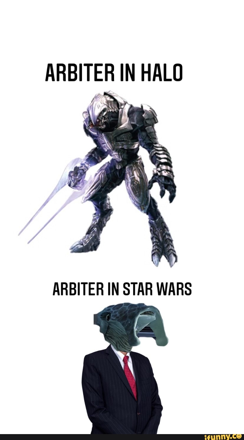 Ripamoramee memes. Best Collection of funny Ripamoramee pictures on iFunny