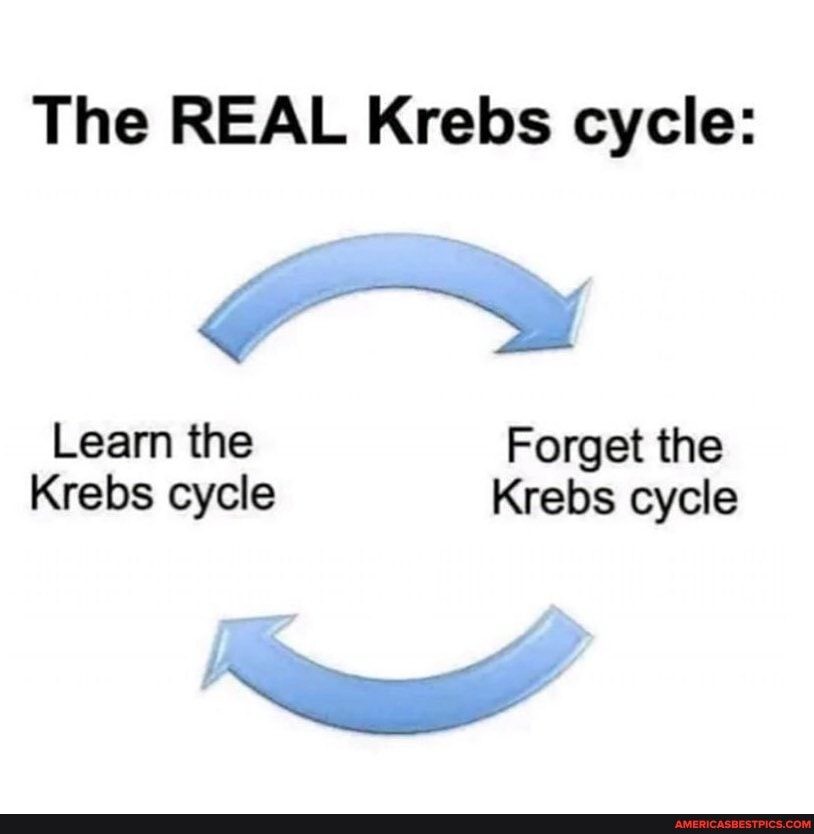 Raise your hand if you’ve been a victim of the Krebs cycle, you may be ...