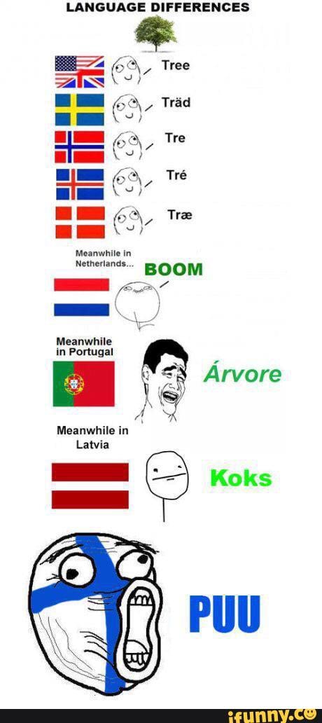 Koks memes. Best Collection of funny Koks pictures on iFunny
