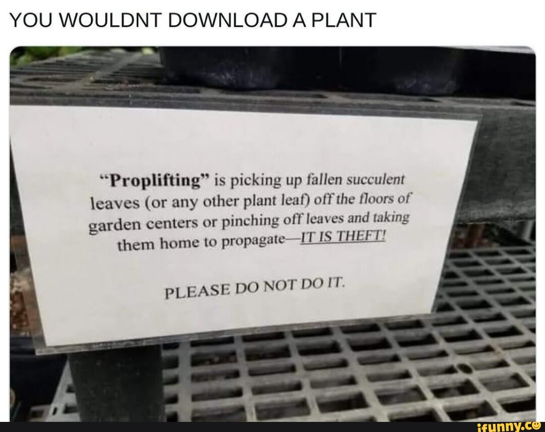 YOU WOULDNT DOWNLOAD A PLANT "Proplifting" is picking up fallen ...