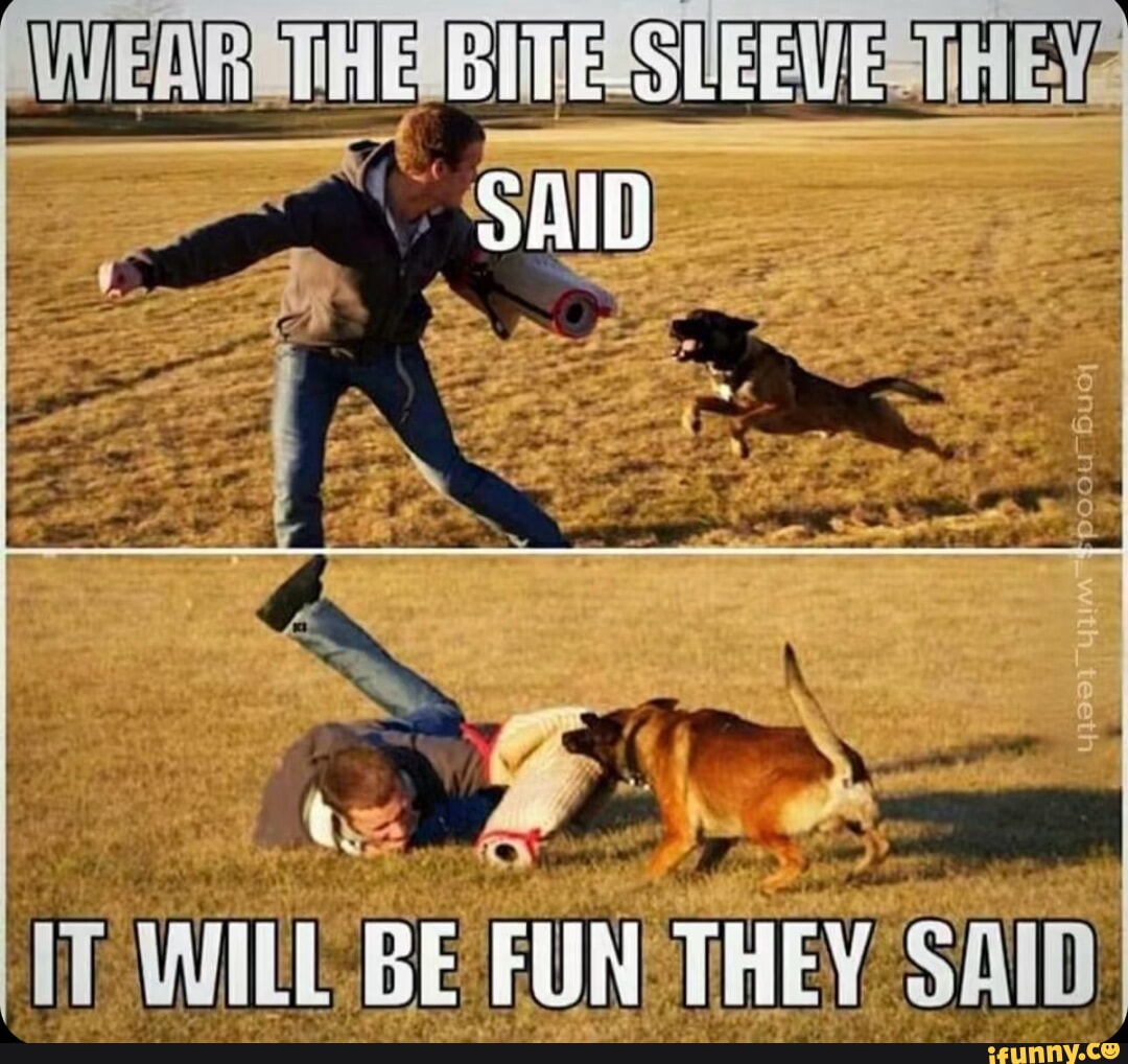 K9 memes. Best Collection of funny K9 pictures on iFunny