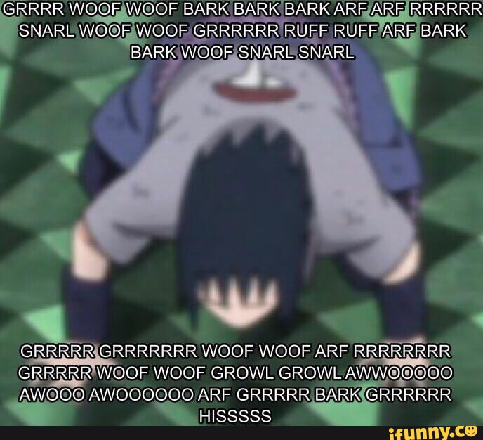 Grrrrr memes. Best Collection of funny Grrrrr pictures on iFunny