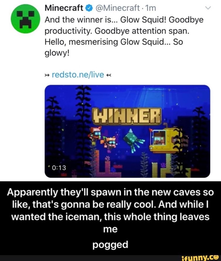 Minecraft And the winner is... Glow Squid! Goodbye productivity ...