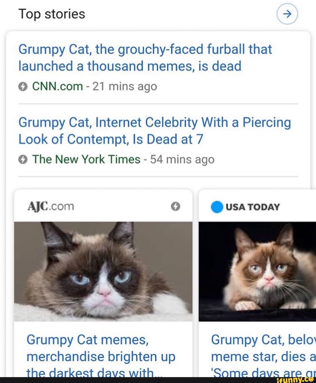 Grumpy Cat, the grouchy-faced furball that launched a thousand memes ...