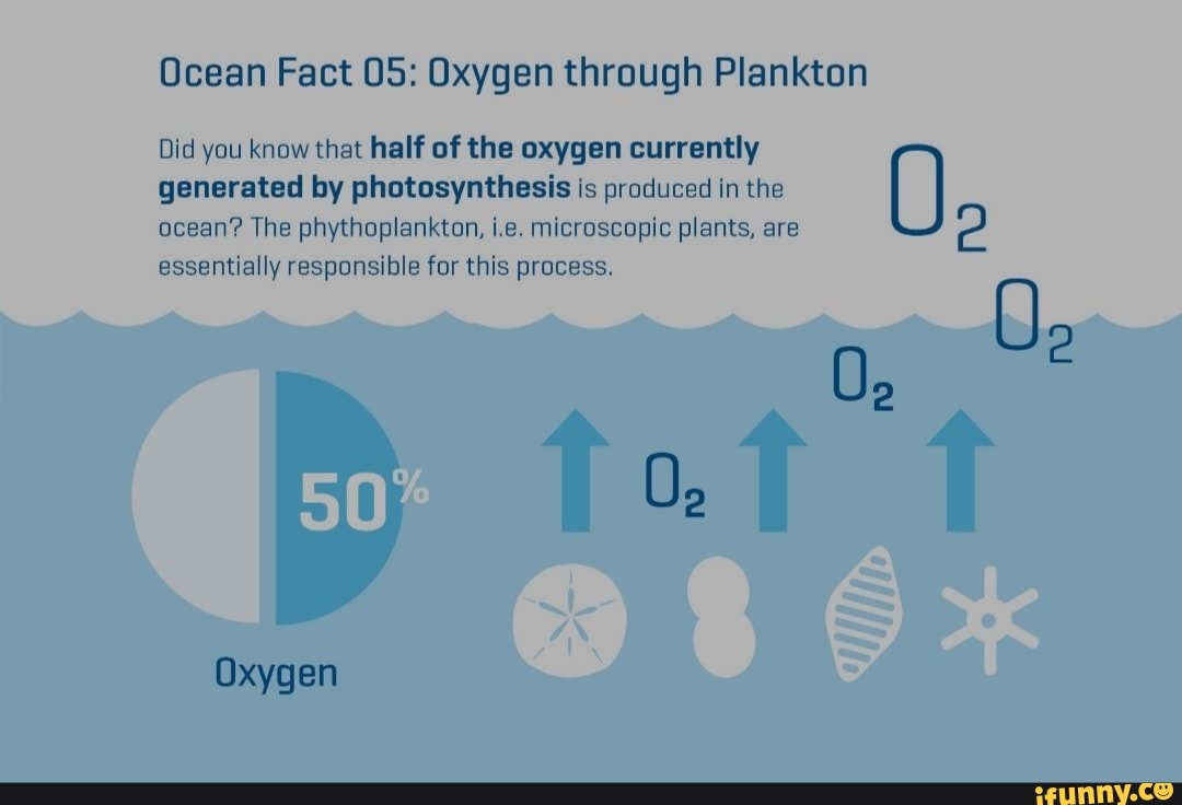 Ocean Fact 05: Oxygen through Plankton generated by photosynthesis is ...