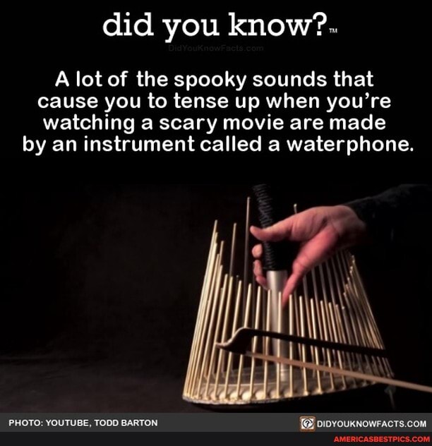 Did you know?. A lot of the spooky sounds that cause you to tense up ...