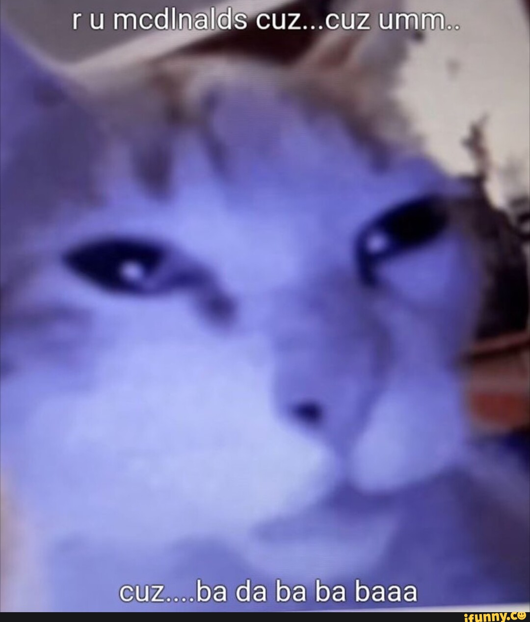 Baaa memes. Best Collection of funny Baaa pictures on iFunny