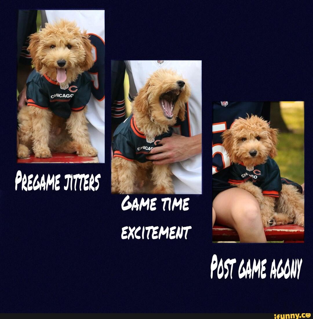 Titters memes. Best Collection of funny Titters pictures on iFunny