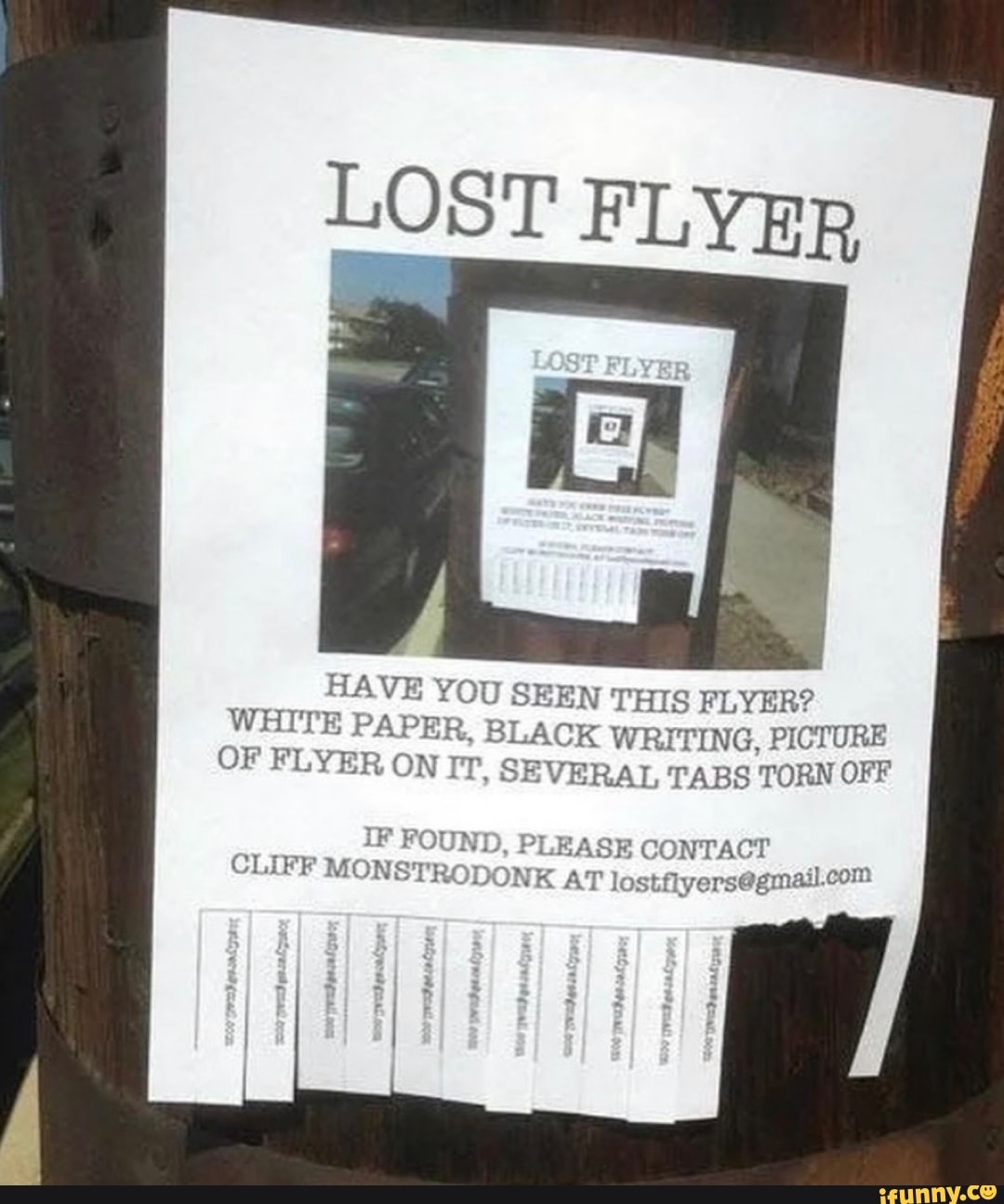LOST FLYER HAVE YOU SEEN THIS FLYER? WHITE PAPER, BLACK WRITING ...