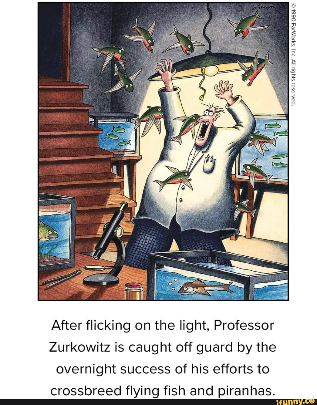 Crossbreed memes. Best Collection of funny Crossbreed pictures on iFunny