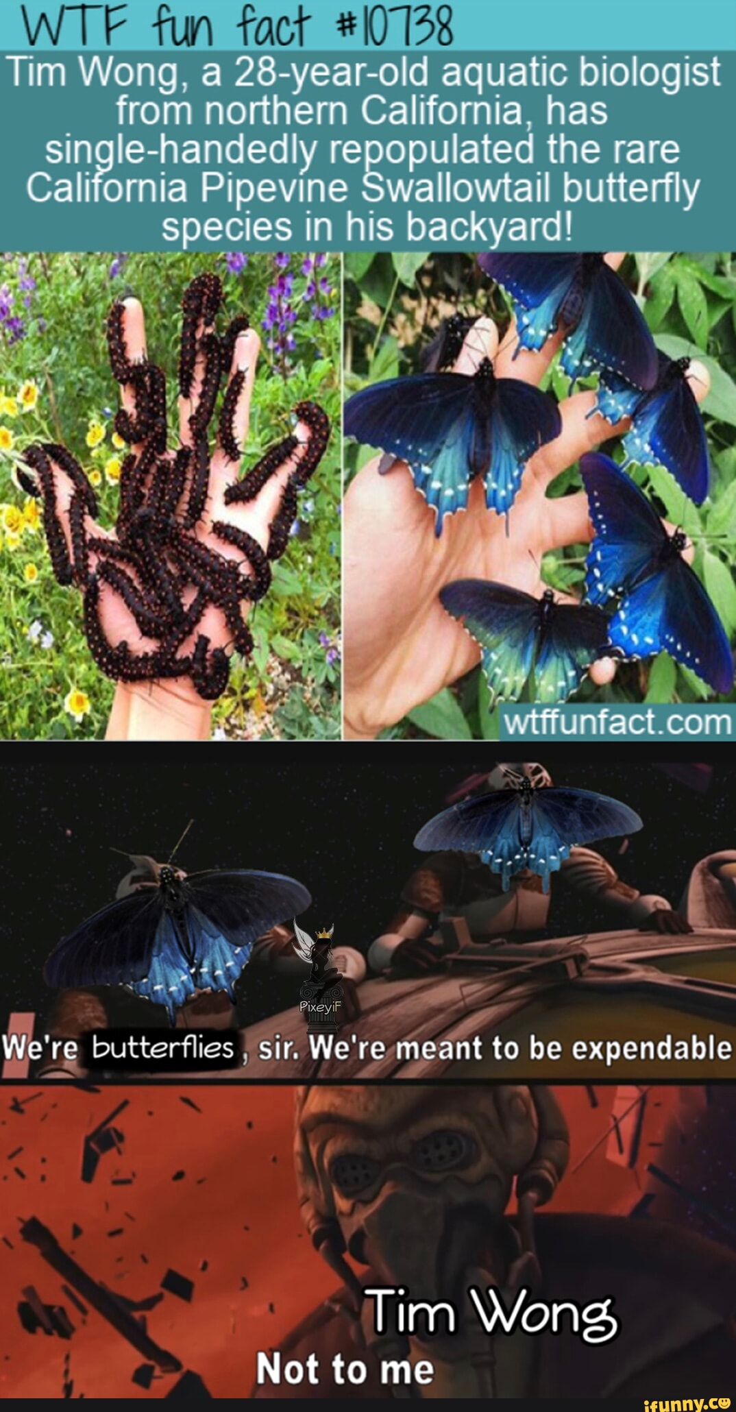 WTF fun fact Tim Wong, a 28-year-old aquatic biologist from northern ...