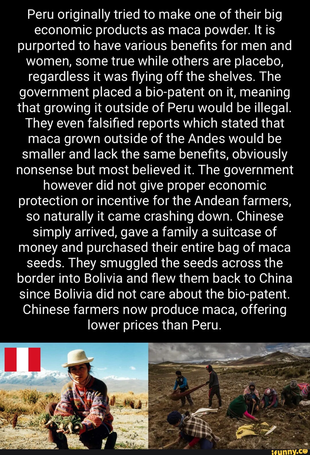 Peru originally tried to make one of their big economic products as ...