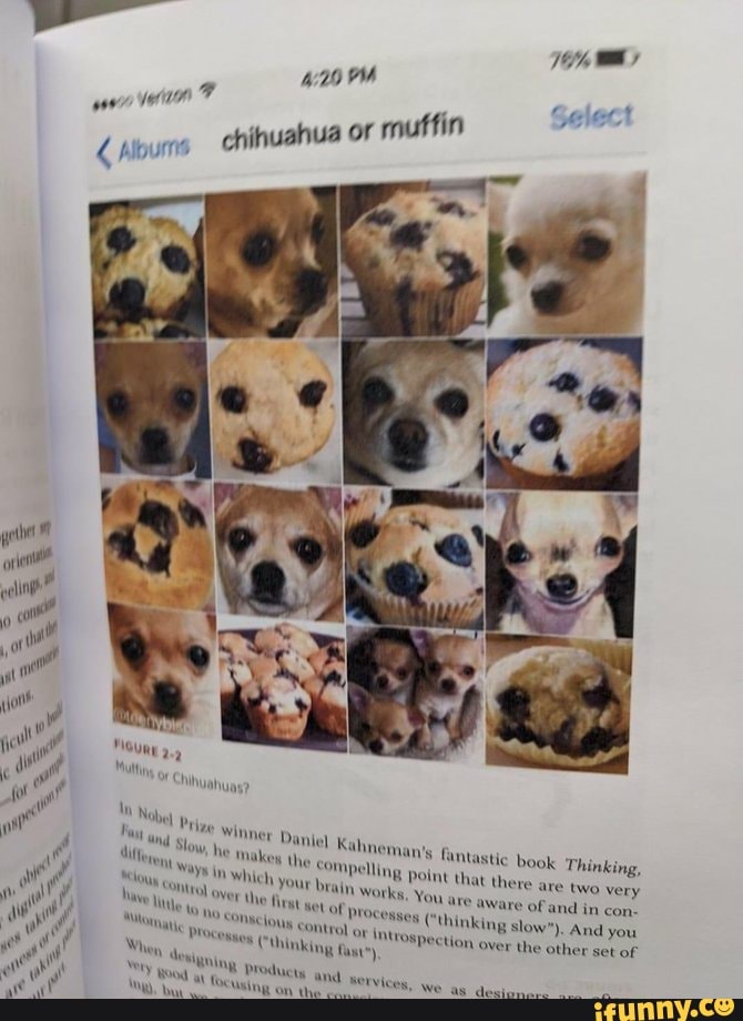 Chihuahua or muffin Se Ch inwh th whheman's fant Works, You are aware ...