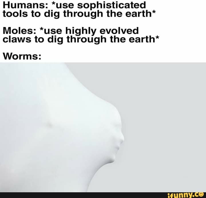 Humans: *use sophisticated tools to dig through the earth* Moles: *use ...