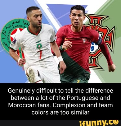 Genuinely difficult to tell the difference between a lot of the ...