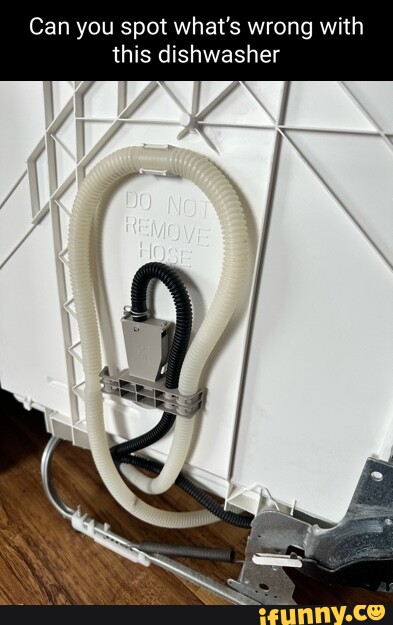 Dishwasher memes. Best Collection of funny Dishwasher pictures on iFunny