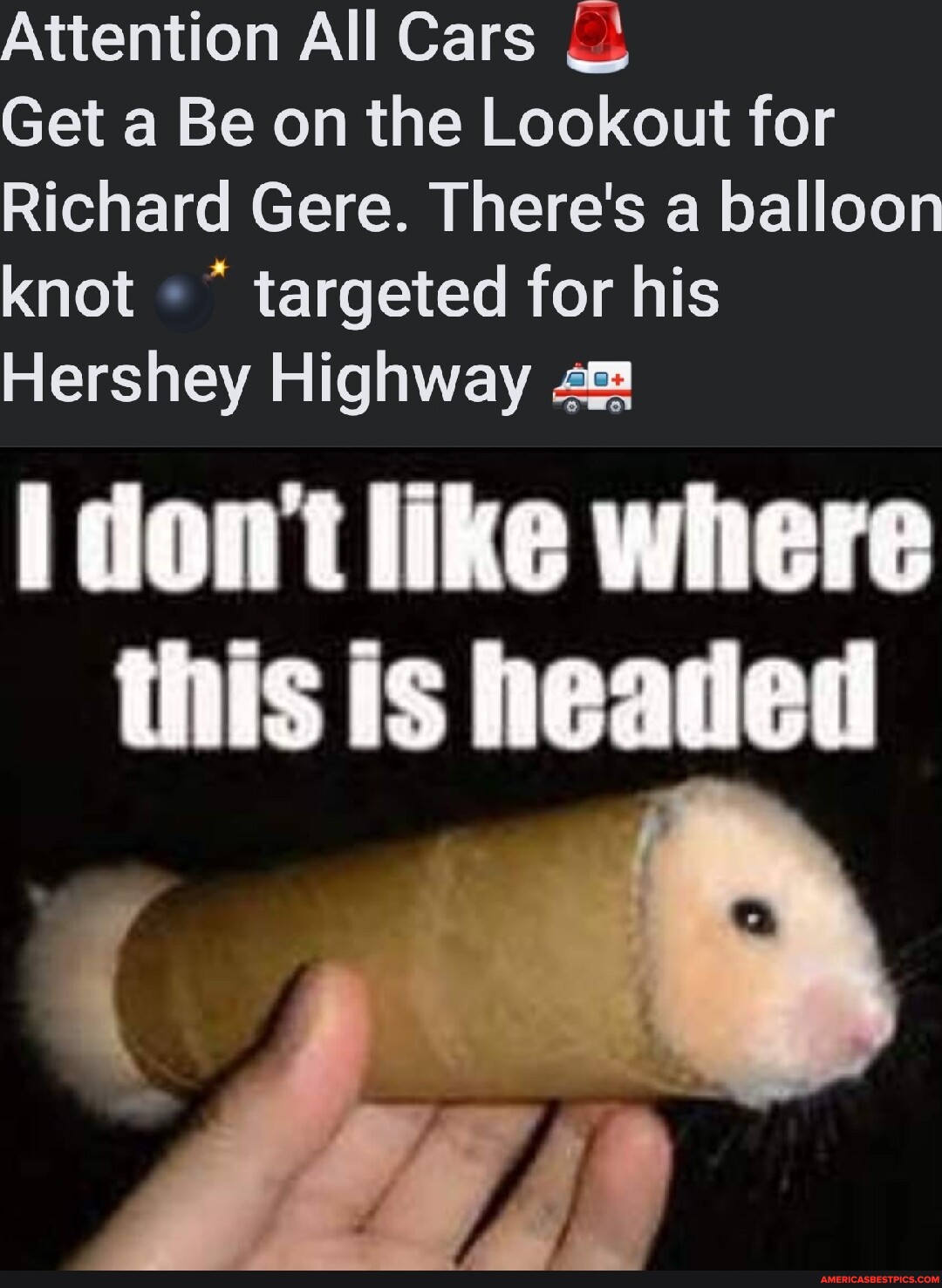 Attention All Cars Get a Be on the Lookout for Richard Gere. There's a ...