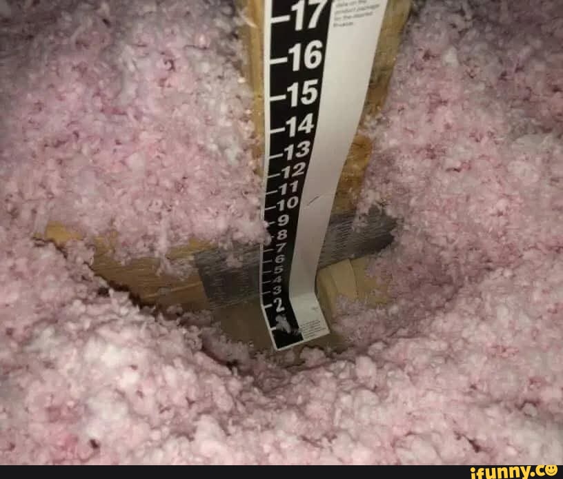 Inspection memes. Best Collection of funny Inspection pictures on iFunny