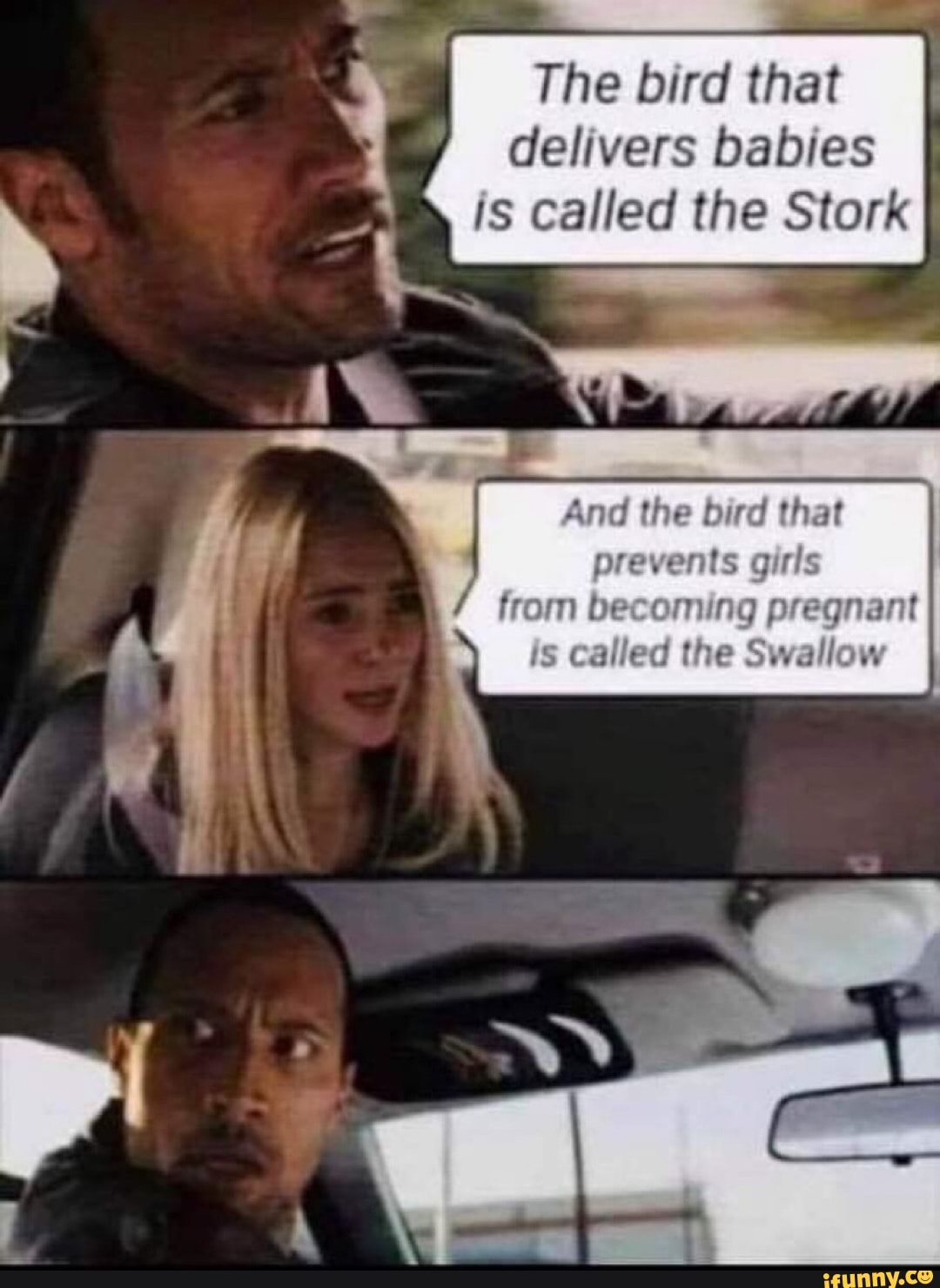 The bird that delivers babies IS called the Stork - iFunny