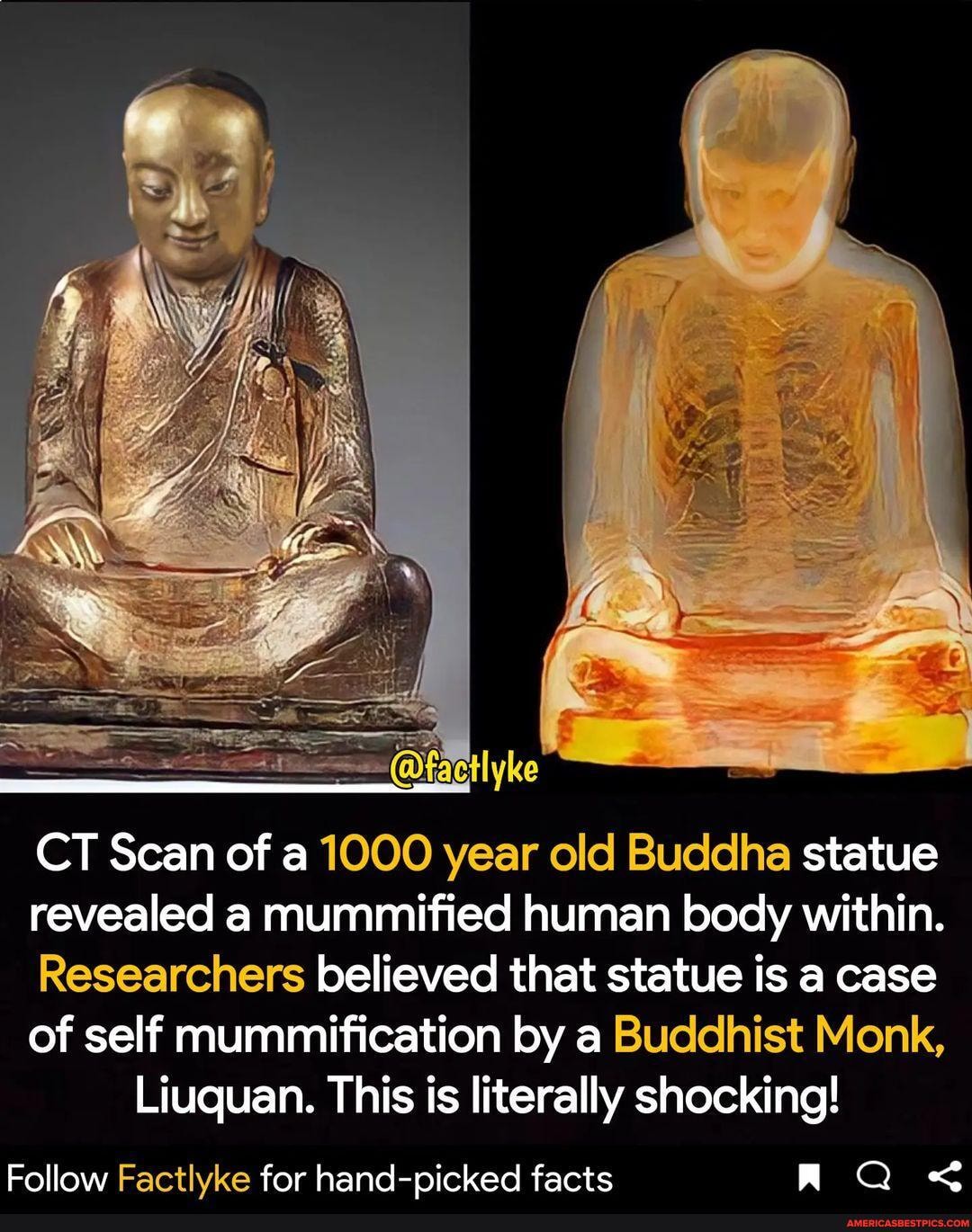 CT Scan of a 1000 year old Buddha statue revealed a mummified human ...