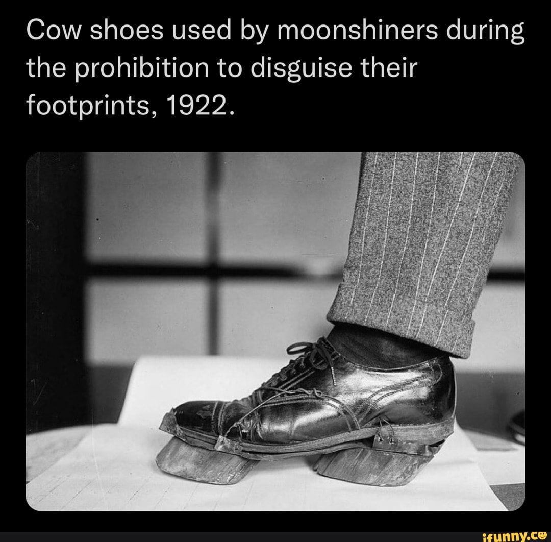 Cow shoes used by moonshiners during the prohibition to disguise their ...