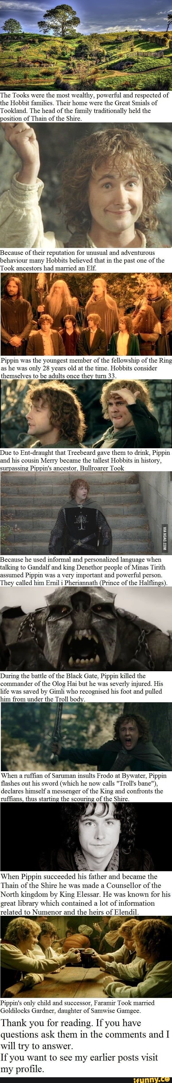 The Tooks were the most wealthy, powerful and respected of the Hobbit ...