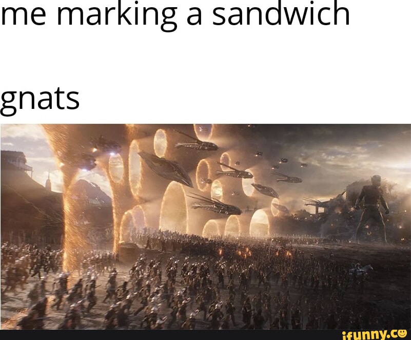 Gnats memes. Best Collection of funny Gnats pictures on iFunny