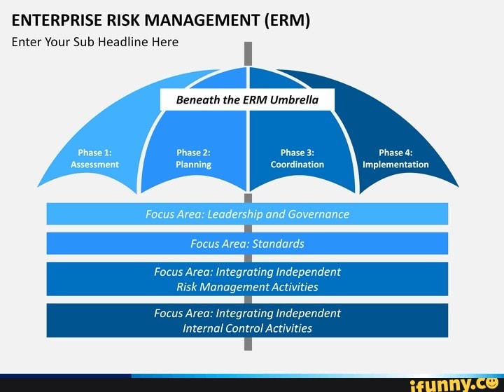 ENTERPRISE RISK MANAGEMENT (ERM) Enter Your Sub Headline Here Beneath ...