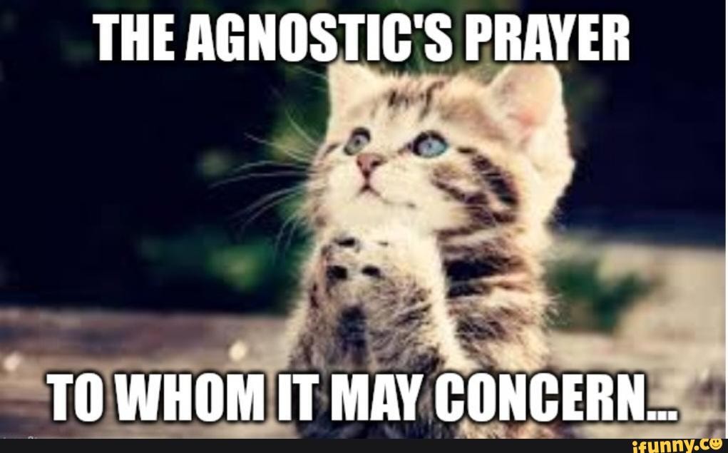 Anyone listening? - THE AGNOSTIC'S PRAYER TO WHOM IT MAY CONCERN=. - iFunny