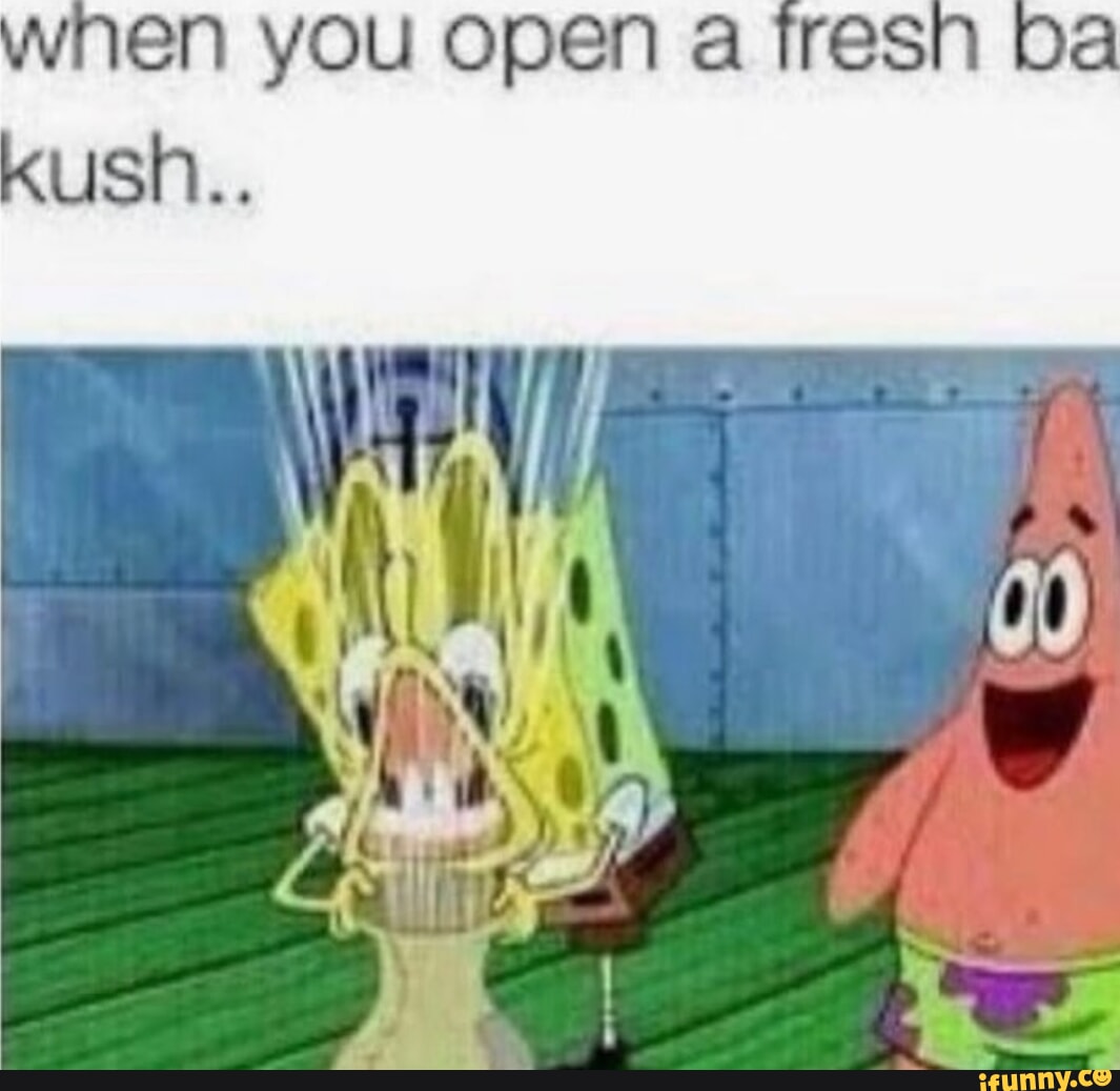 Ush memes. Best Collection of funny Ush pictures on iFunny