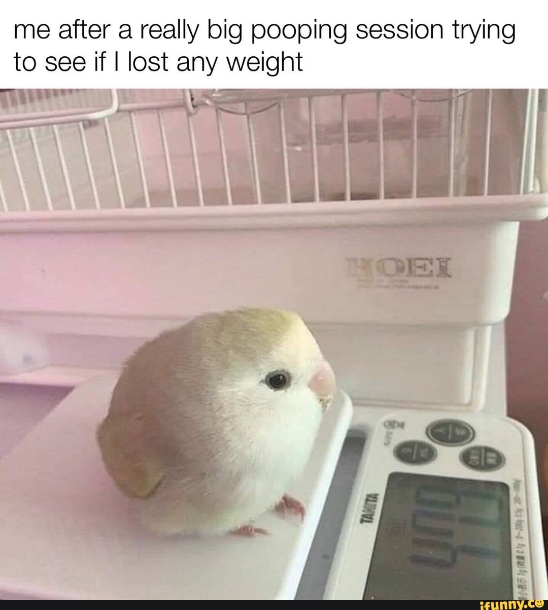 Me after a really big pooping session trying to see if I pst any weight ...