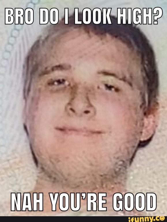 Doilookhigh memes. Best Collection of funny Doilookhigh pictures on iFunny