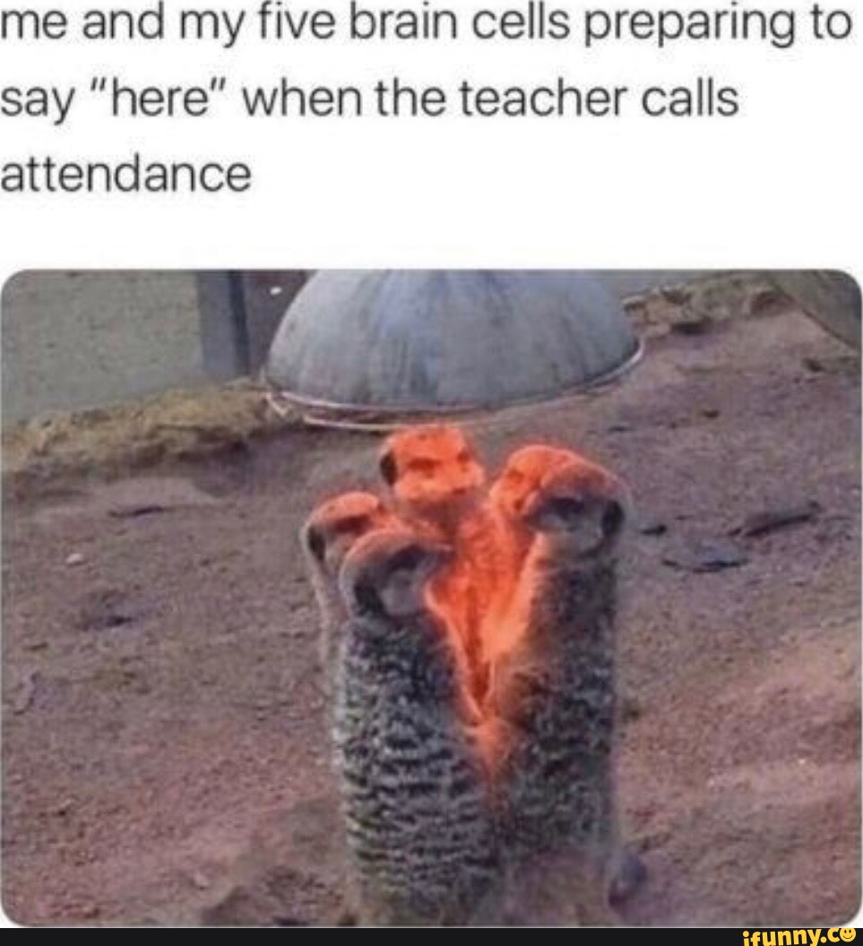 Attendance memes. Best Collection of funny Attendance pictures on iFunny