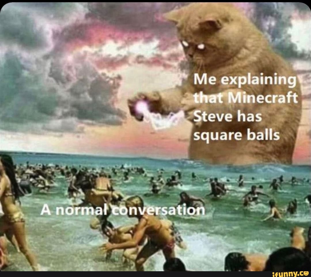 Me explaining that Minecraft Steve has square balls A normal ...