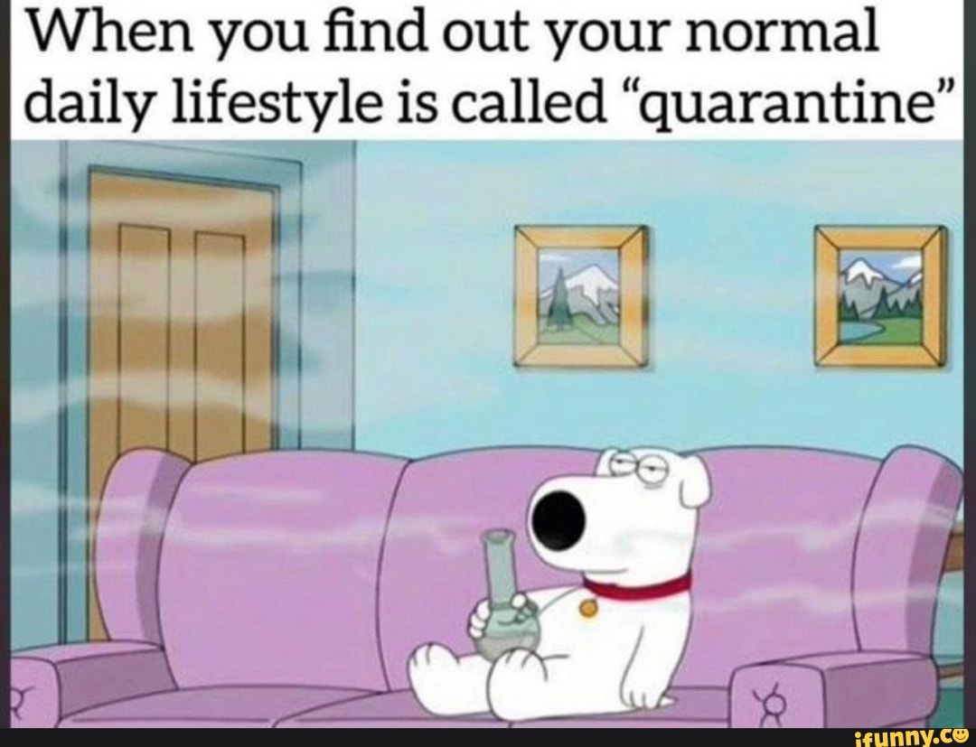When you find out your normal daily lifestyle is called "quarantine ...