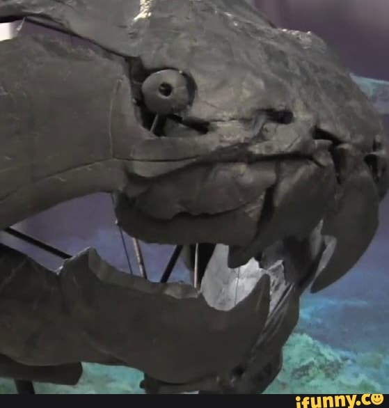 Dunkleosteus memes. Best Collection of funny Dunkleosteus pictures on ...