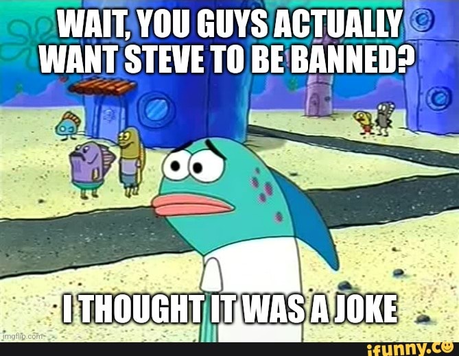 WAIT YOU GUYS ACTUALLY WANT STEVE TO BE BANNED? 'THOUGHT IT WAS AJOK ...