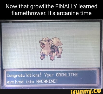 Arcanine memes. Best Collection of funny Arcanine pictures on iFunny