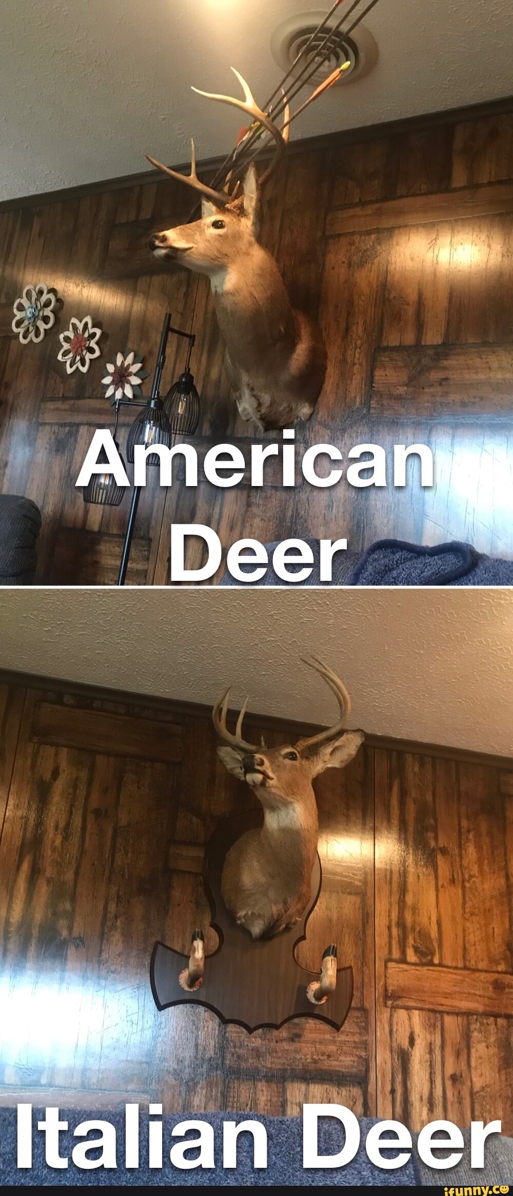 Lolpeta memes. Best Collection of funny Lolpeta pictures on iFunny