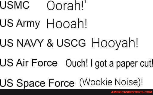 USMC Qoran! US Army Hooah! US NAVY & USCG Hooyah! US Air Force Ouch! I ...